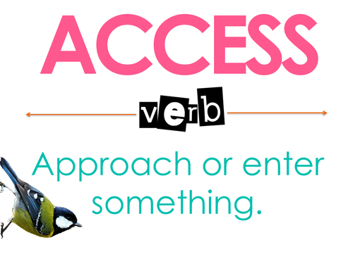 Word Birds Word of the Week Year 6 High-Level Vocabulary Builder: 40 ...