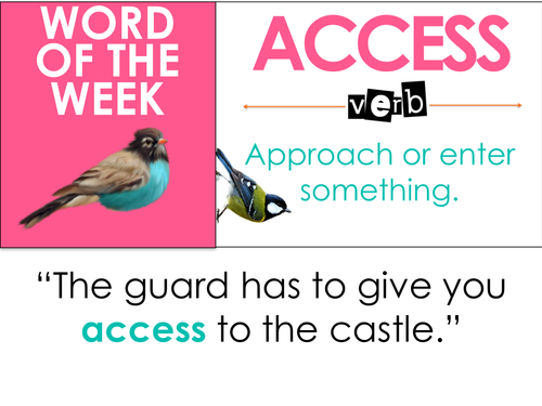 Word Birds Word of the Week Year 6 High-Level Vocabulary Builder: 40 ...