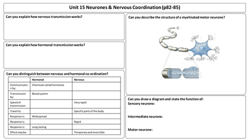 AQA Unit 15 Nervous Coordination & Muscles Revision Answers | Teaching ...