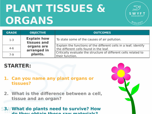 NEW AQA Trilogy (2016) Biology - Plant tissues & organs | Teaching ...