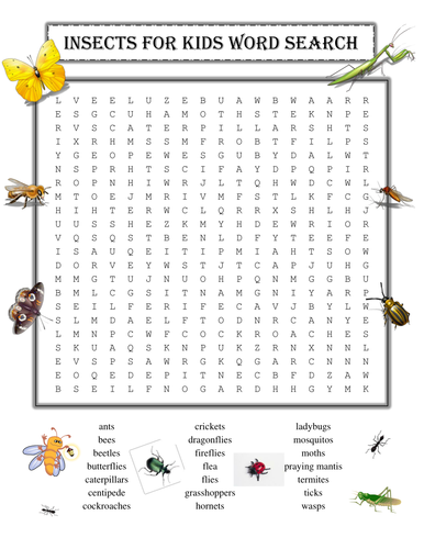 Animals Word Search Puzzle PLUS Insects for Kids Word Search (Both ...
