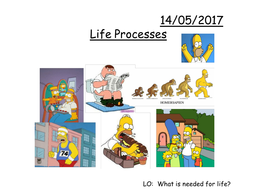 Life Processes Lesson | Teaching Resources