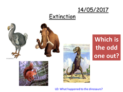 Extinction Lesson | Teaching Resources