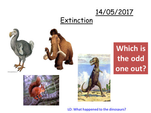 Extinction Lesson | Teaching Resources