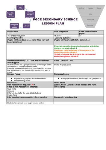 The endocrine system | Teaching Resources