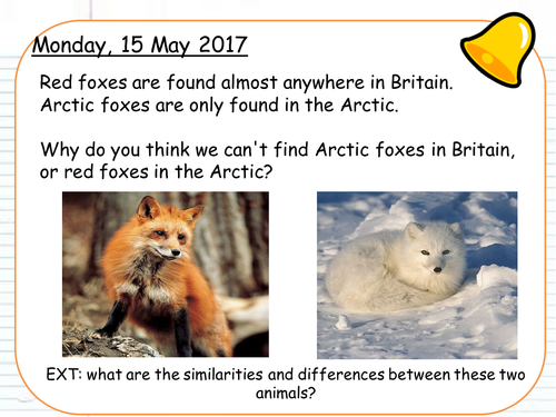 KS3 - Adaptations and Evolution topic | Teaching Resources