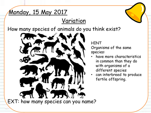 KS3 - Adaptations and Evolution topic | Teaching Resources