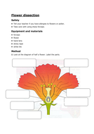 Structure of the flower & pollination | Teaching Resources