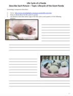 STEM Reader: w/ ELA - Giant Pandas - Life Cycles and Ecosystems - Print ...