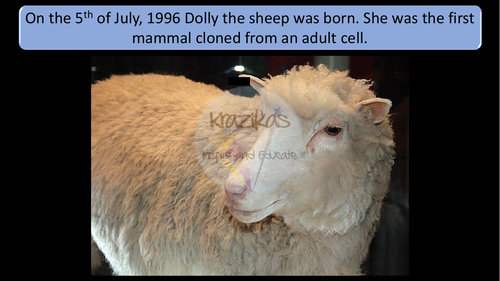 May, June, July Assemblies | Teaching Resources