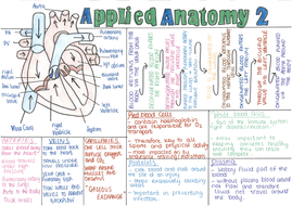 GCSE PE EDEXCEL 9-1 - Full course A3 revision posters | Teaching Resources