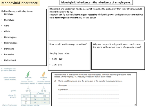 AQA A Level Genetics Revision | Teaching Resources