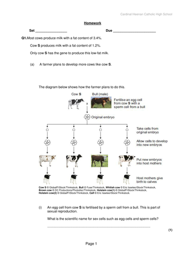 Selective Breeding | Teaching Resources