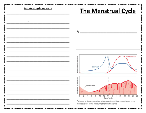 Hormones and the menstrual cycle activities for Edexcel combined ...