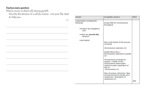 Mitosis activity differentiated for higher and lower Edexcel Combined ...
