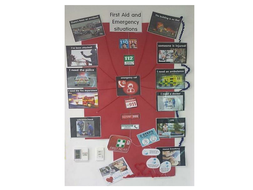 Emergency situations, CPR and First Aid. WHOLE LESSON, 3xworksheets and ...