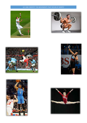 Movement at joints lesson and worksheet | Teaching Resources