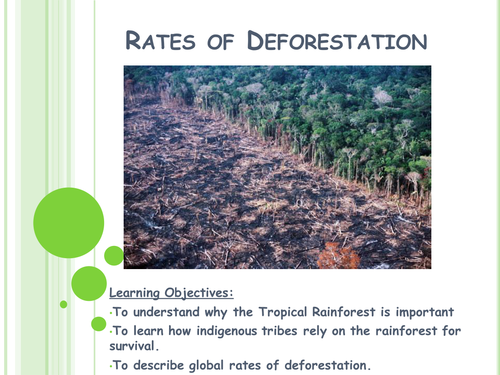 AQA The Living World - Indigenous tribes and rates of deforestation ...