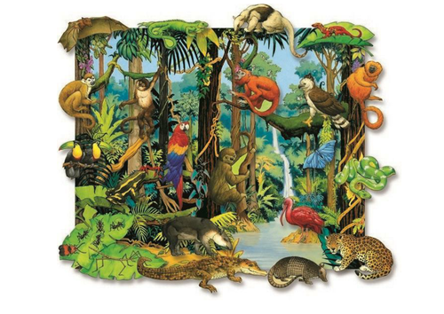 AQA The Living World - Indigenous tribes and rates of deforestation ...