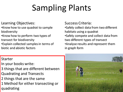 Sampling Plants New GCSE Bio Indoors/Outside | Teaching Resources