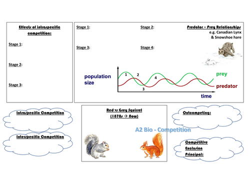 Competition Learning Mat | Teaching Resources
