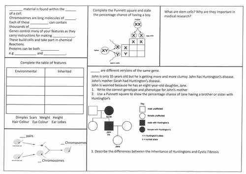 OCR 21st Century Science A B1, B2 & B3 Revision Placemats and ...