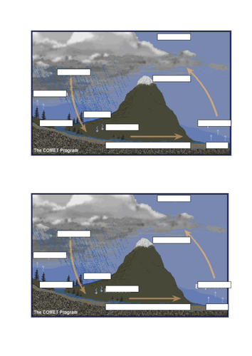 Carbon and Water Cycle New GCSE Bio 9-1 | Teaching Resources
