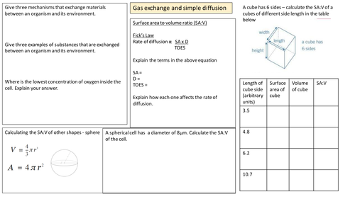 AQA A level Gas Exchange insects, fish, leaves, SA:V revision ...