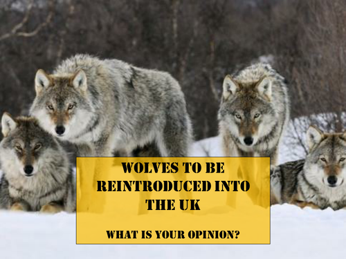 Ecosystem Change - Reintroducing Wolves into the UK | Teaching Resources
