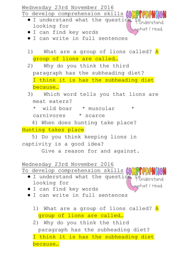 Non-chronological reports Lion | Teaching Resources