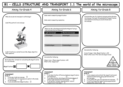 AQA GCSE 9-1 Biology B1 Revision Sheets (differentiated) | Teaching ...