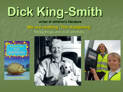 Literacy The Hodgeheg / Ofsted used graded Outstanging Lesson Plan, ppt ...