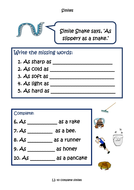 Amazing Adjectives and Super Similes | Teaching Resources