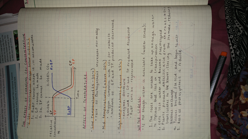 OCR A Level Biology A Revision Notes (Handwritten) | Teaching Resources