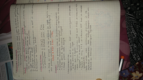 OCR A Level Biology A Revision Notes (Handwritten) | Teaching Resources