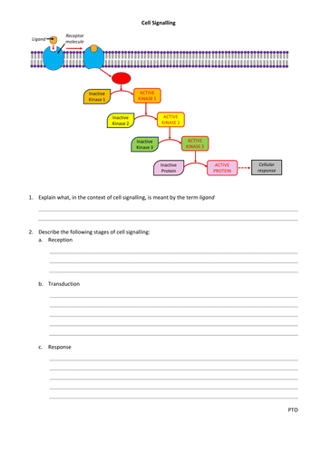 Cell Signalling | Teaching Resources