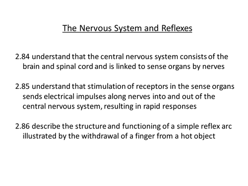 Nervous System and Reflexes | Teaching Resources