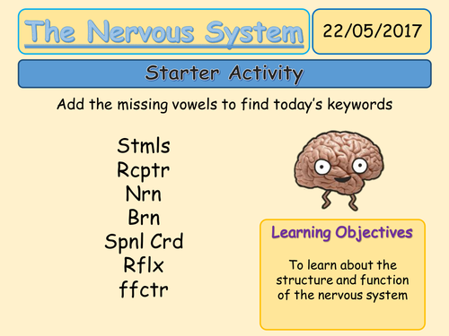 The Nervous System and Reflexes | Teaching Resources