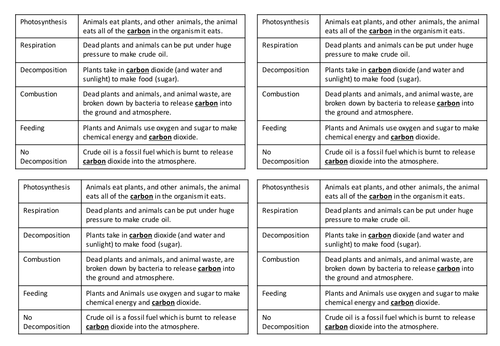 Carbon Cycle Card Sort | Teaching Resources