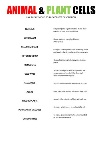GCSE BIOLOGY AQA (NEW TRILOGY) PLANT AND ANIMAL CELLS REVISION ...