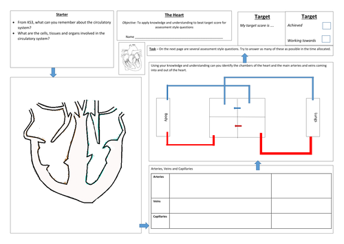 The Heart | Teaching Resources