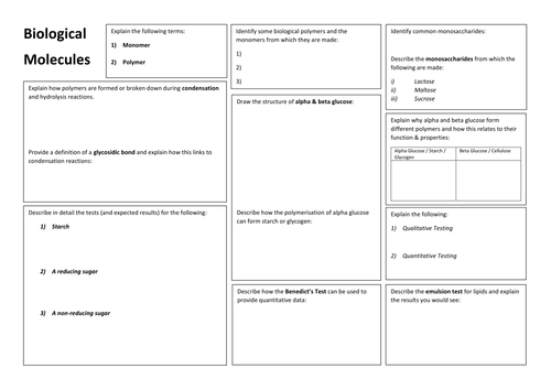 AS Biology AQA Section 3.1 Biological Molecules Revision Booklet ...