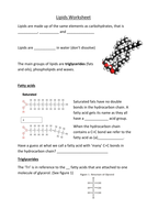 Triglycerides and phospholipids. Carbohydrates and lipids. A level ...
