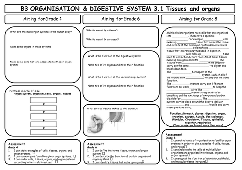 AQA GCSE 9-1 Biology B3 Revision Sheets (differentiated) | Teaching ...