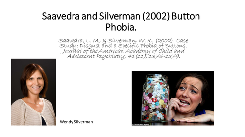 Saavedra and Silverman (2002) | Teaching Resources