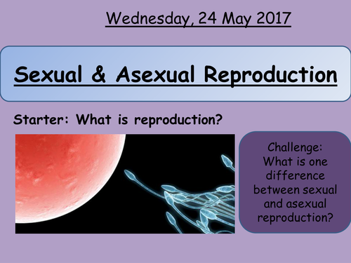 New AQA GCSE Biology Inheritance Lesson 1: Asexual and Sexual ...