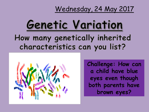 New AQA GCSE Biology Inheritance Lesson 5: Genetic Variation | Teaching ...