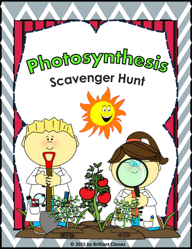 Photosynthesis Scavenger Hunt - An Activity | Teaching Resources