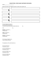 KS3 Digestion Revision Sheet | Teaching Resources