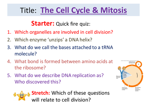 The Cell Cycle & Mitosis - OCR AS/A Level Biology | Teaching Resources